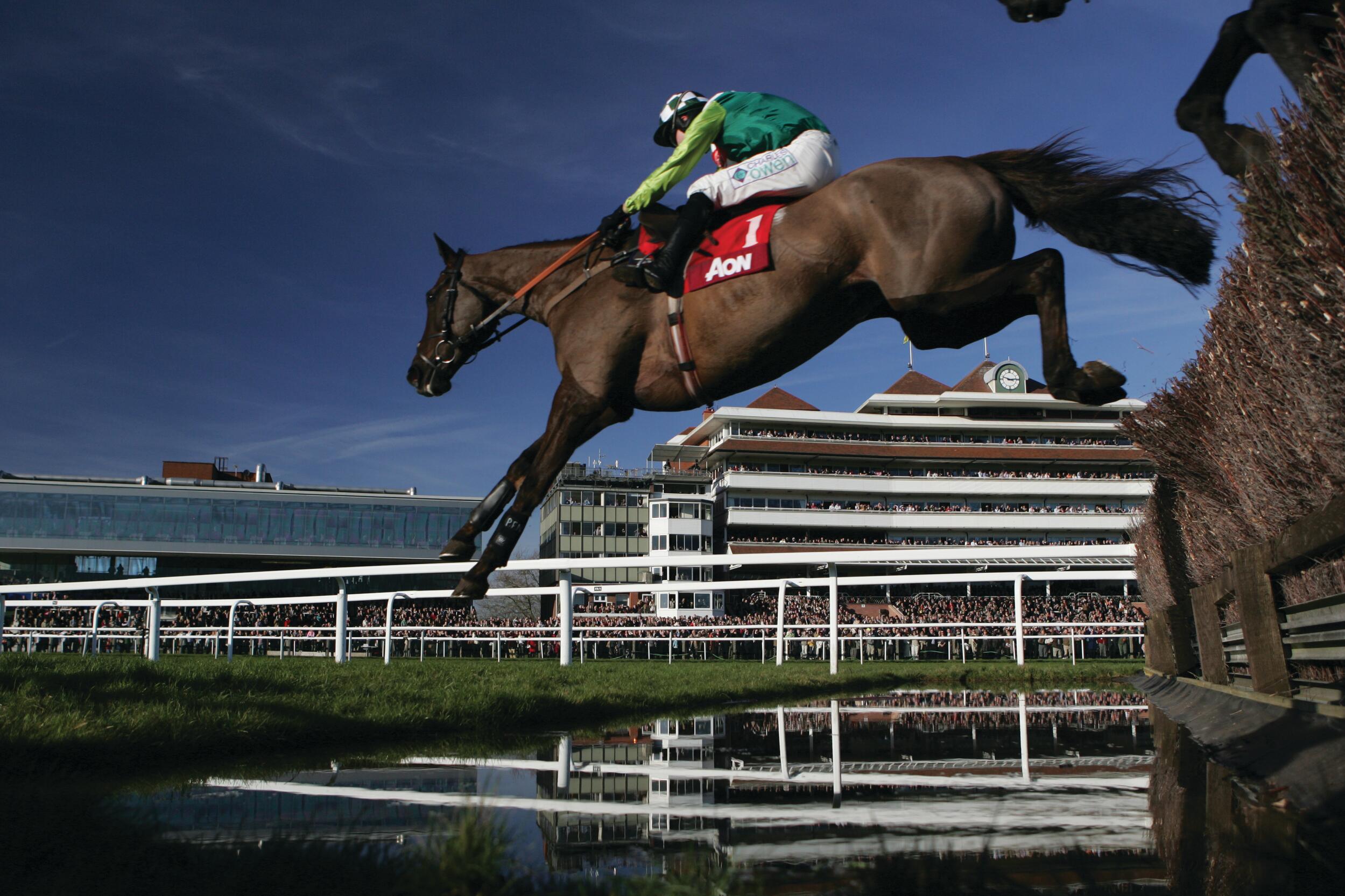 Newbury Racecourse | The Vineyard